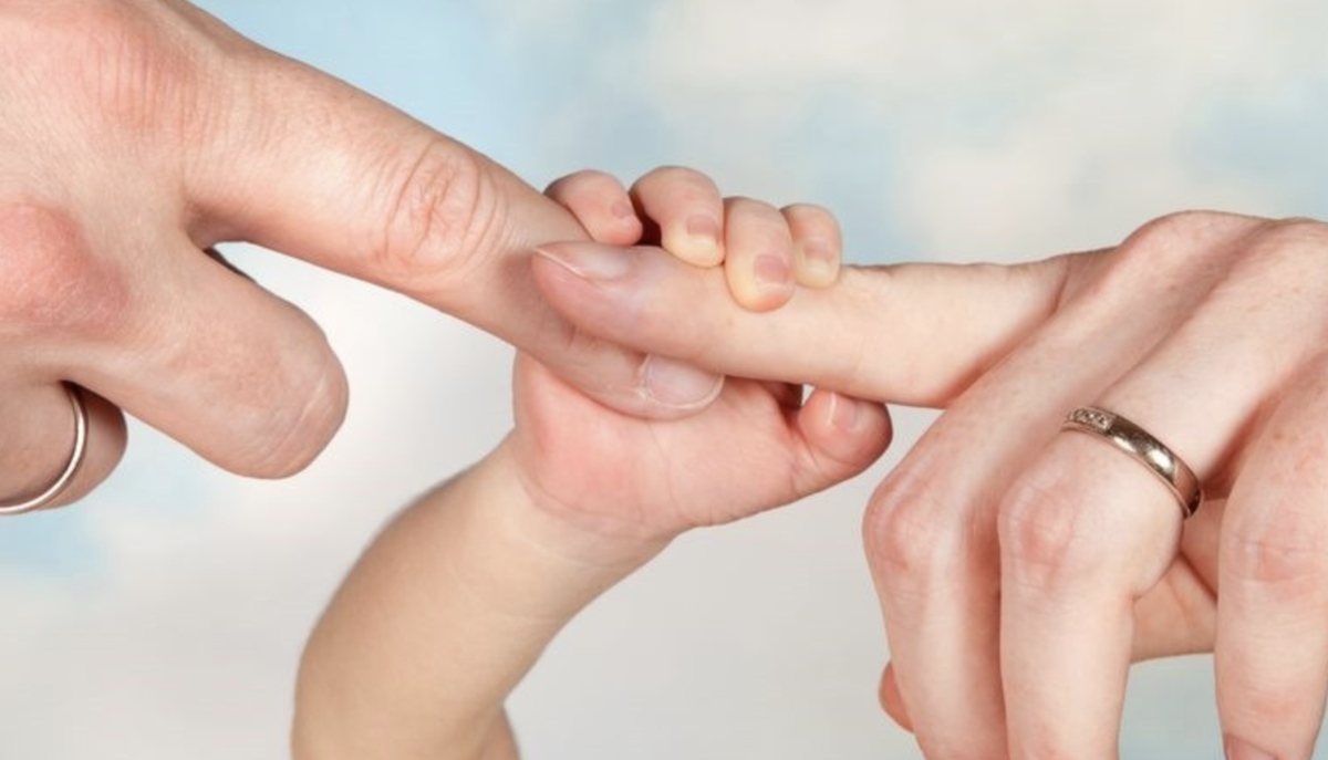 Marrriage Concelling - Maussen FC I Executive Support